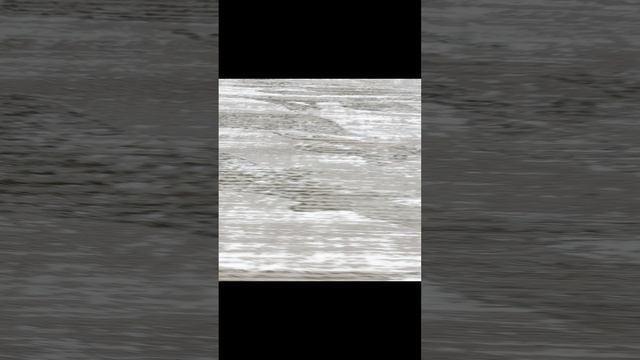 Турецкий ковер на пол 00740A L.GREEN BEIGE овал