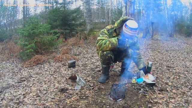 Ноябрьский поход за спелой клюквой | 2022