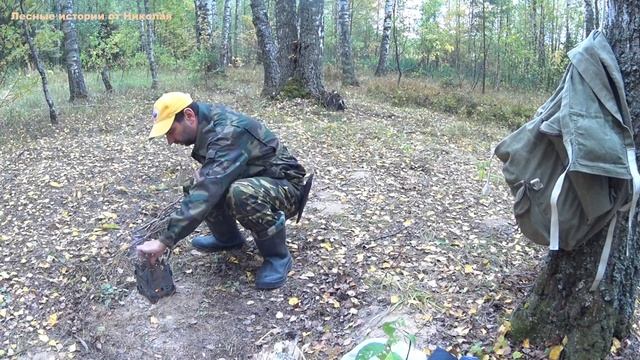 На разведку за грибами и ягодами | Сентябрь 2022