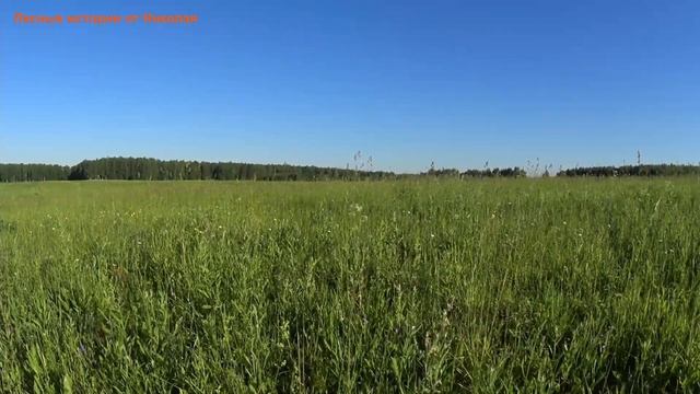 Рыбалка на озере.  Что осталось за кадром. Релакс.