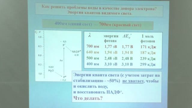 4. Фотосинтез. Физиология растений I - Носов А. М. Teach-in.