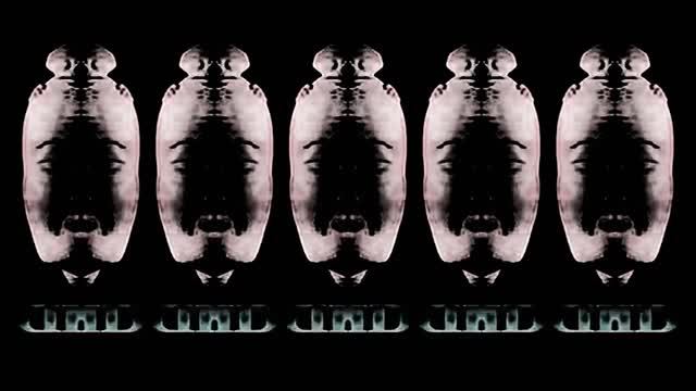 Телекомпания ВИD (Effects & Parodies) (Part 1)