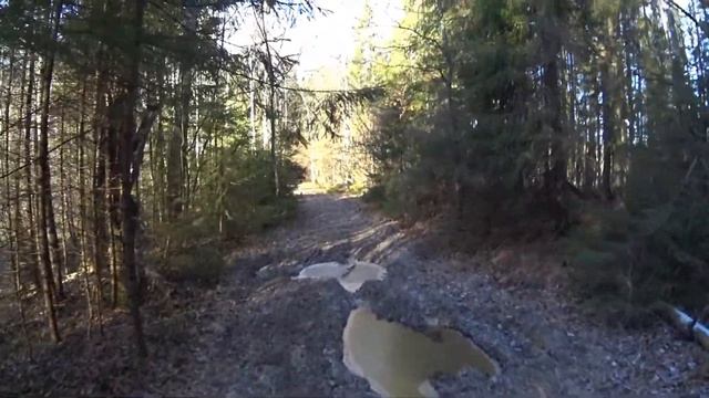 В одиночный поход в лес к озеру. Часть 3