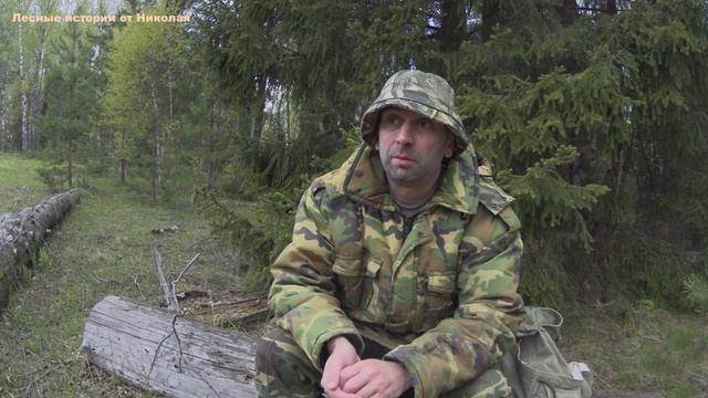 Весенний поход-разведка по грибы 2024 | Майский снег | Бобровая делянка
