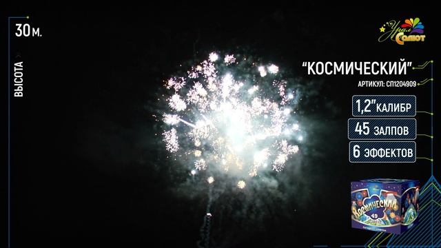 Космический СП1204909
