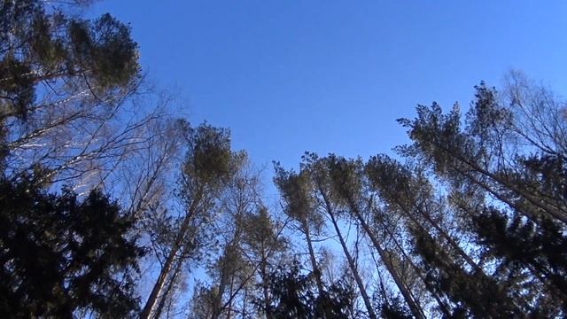 Небольшая видеозарисовка к празднику 8 МАРТА!