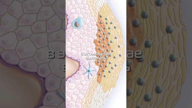 ОТЗЫВЫ #shorts