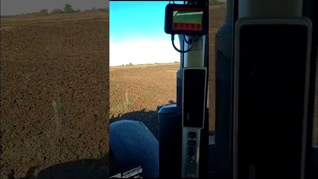 В полях Курской области .mp4