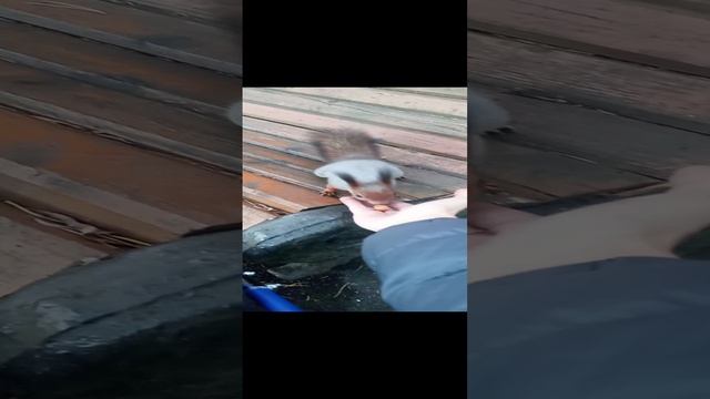1000002468.mp4