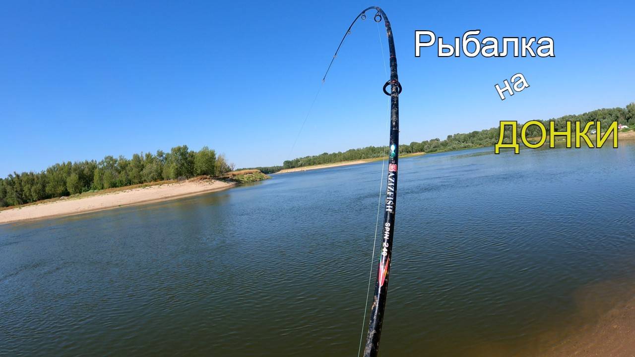 Рыбалка в начале августа. Поймал чехонь и другую рыбку на донки.