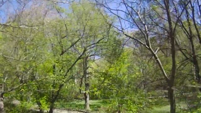 Парк Ясная поляна Cinecan 4K. FPV.