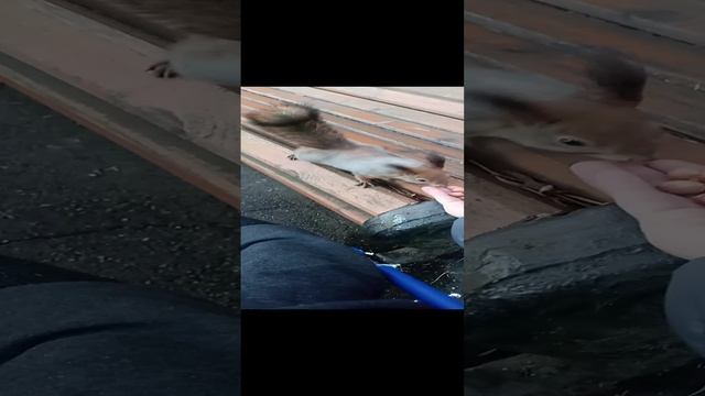 1000002469.mp4