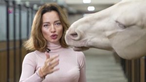 Телеканал 360 - Один день из жизни предпринимателя