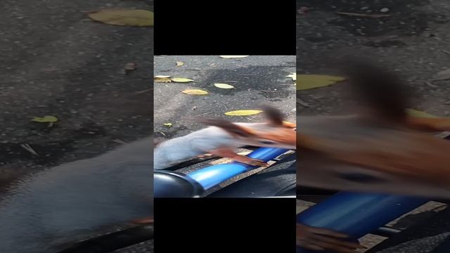 1000002412.mp4
