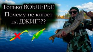 Только ВОБЛЕРЫ, только ХАРДКОР! Наловили щук на воблеры, а джиг совсем молчит.