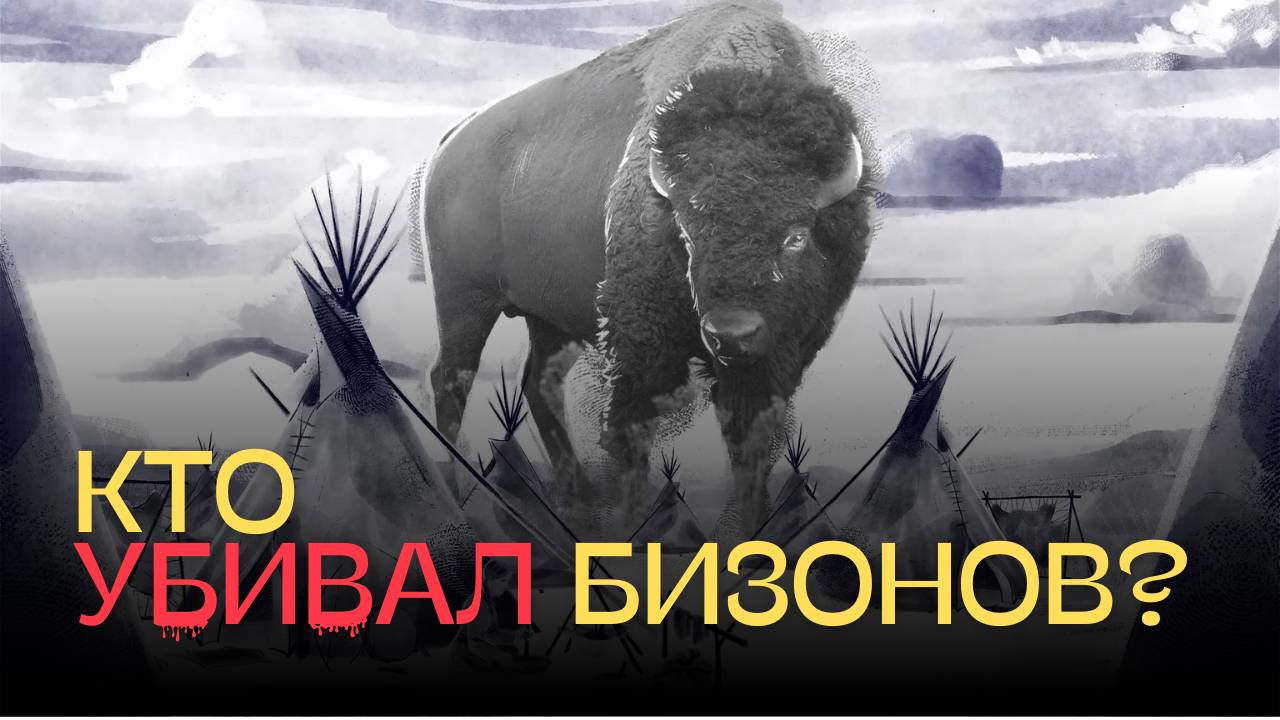 Кто убил всех бизонов?