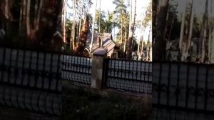 Как живут в Ворзеле