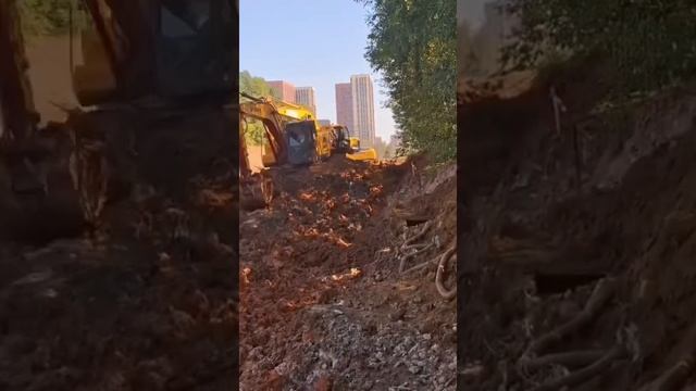 Танец маленьких утят