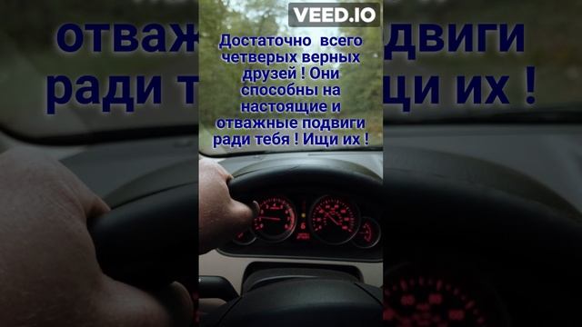 Что может гарантировать тебе безопасность ?