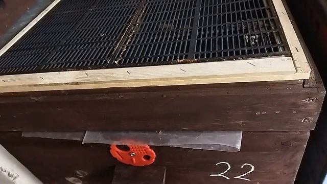 Отправил пчел в зимовник  Зимовка в два яруса