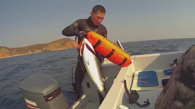 Вот она какая, Лакедра