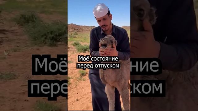 Какое ваше состояние перед отпуском?