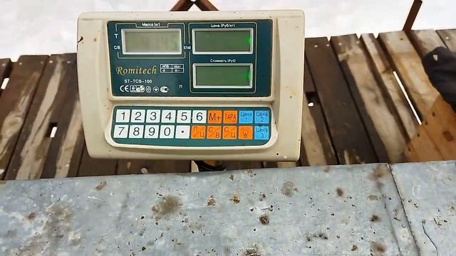 Насколько прожорливы пчелы