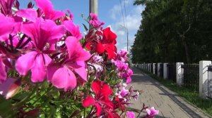Art Manij #ФОН 🌳у цветов🌺🌸🌹