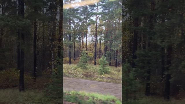 Поездка на ЭП2ДМ, Москва - Ногинск   #электричка #мцд  #поезд  #ржд #train #железнаядорога