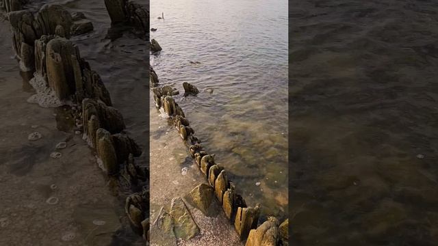 штиль на Таганрогском заливе 🙂