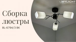 Инструкция по сборке BL-6794/3 BK