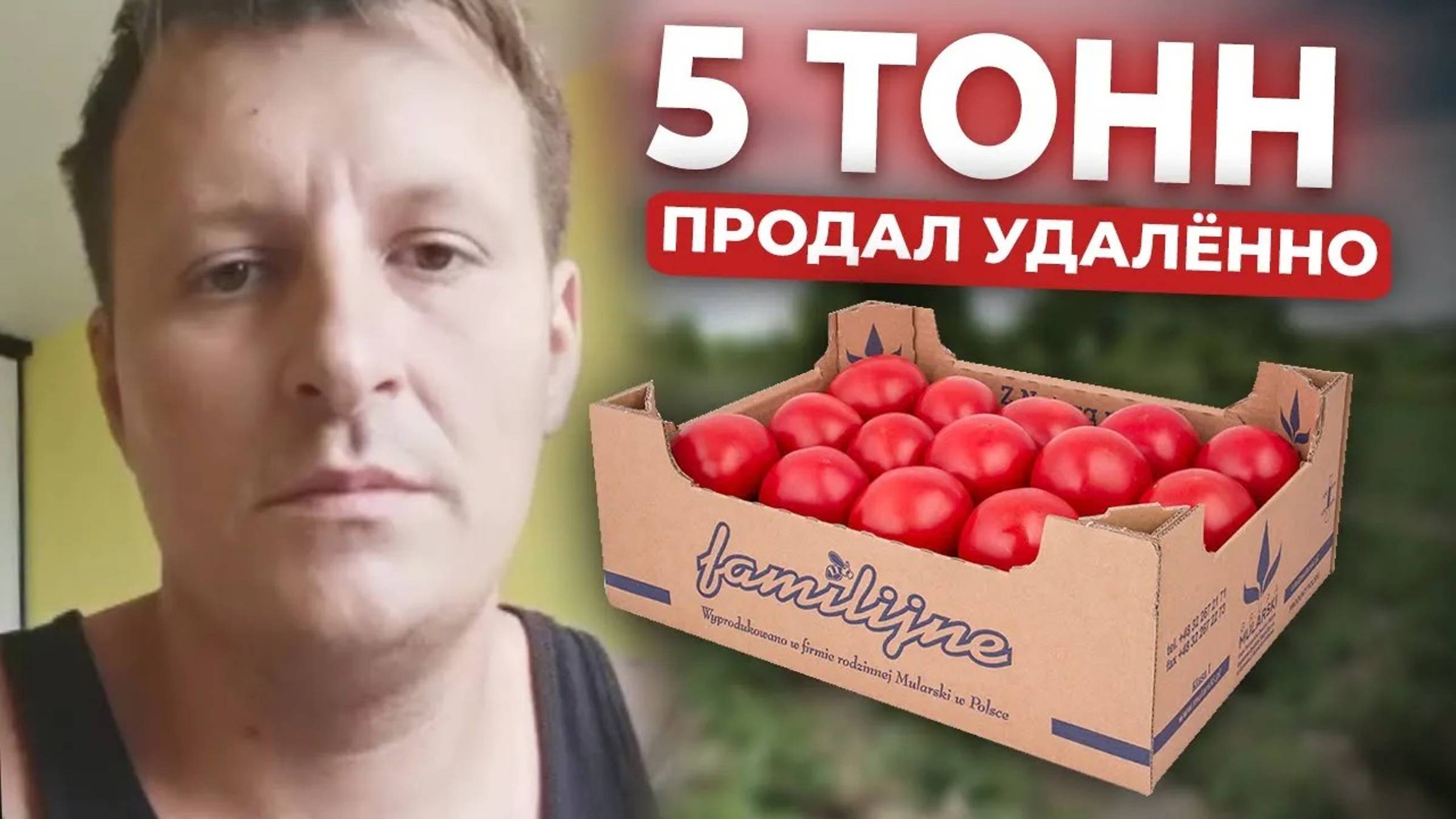 Продал 5 ТОНН Помидоров УДАЛЁННО! Заработал 10.000 РУБЛЕЙ. Отзыв Ученика. Оптовый бизнес