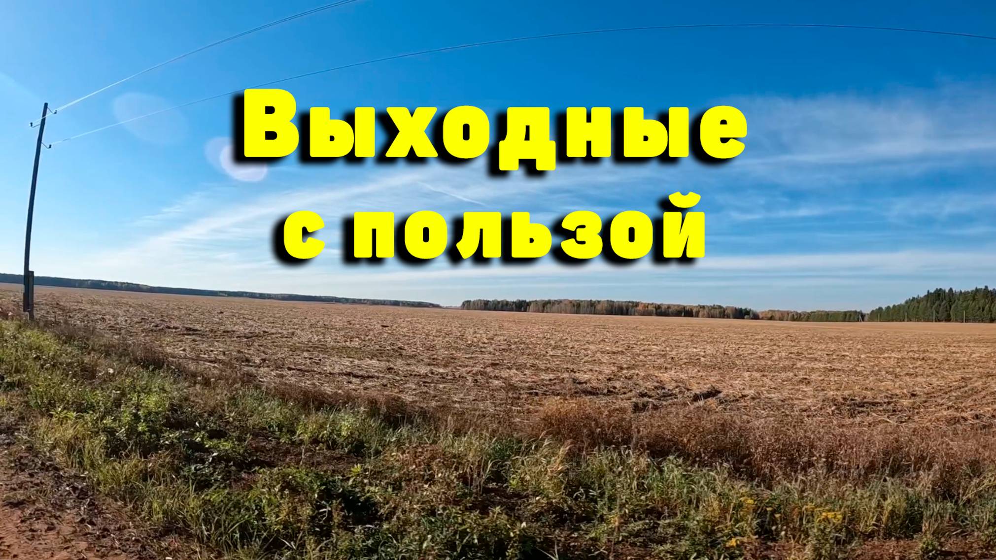 Как провести выходные?