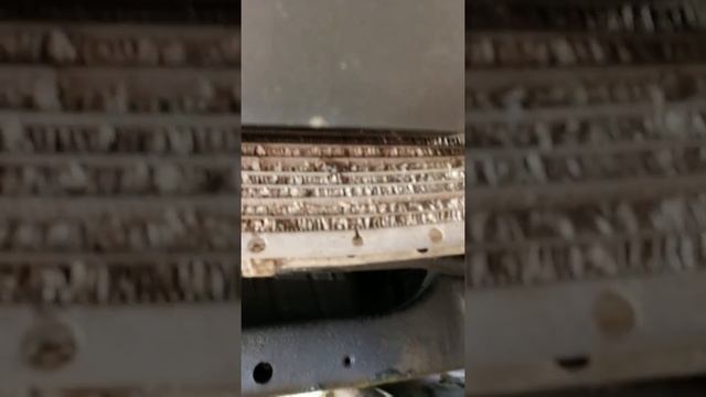 Осмотр Ссанг Йонг Кайрон 22 августа 2018 г