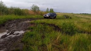 У природы нет плохой пагоды.