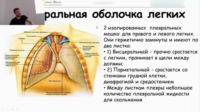 13.19. Дыхательная система