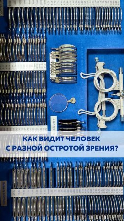 Как видит человек с разной остротой зрения при близорукости?
