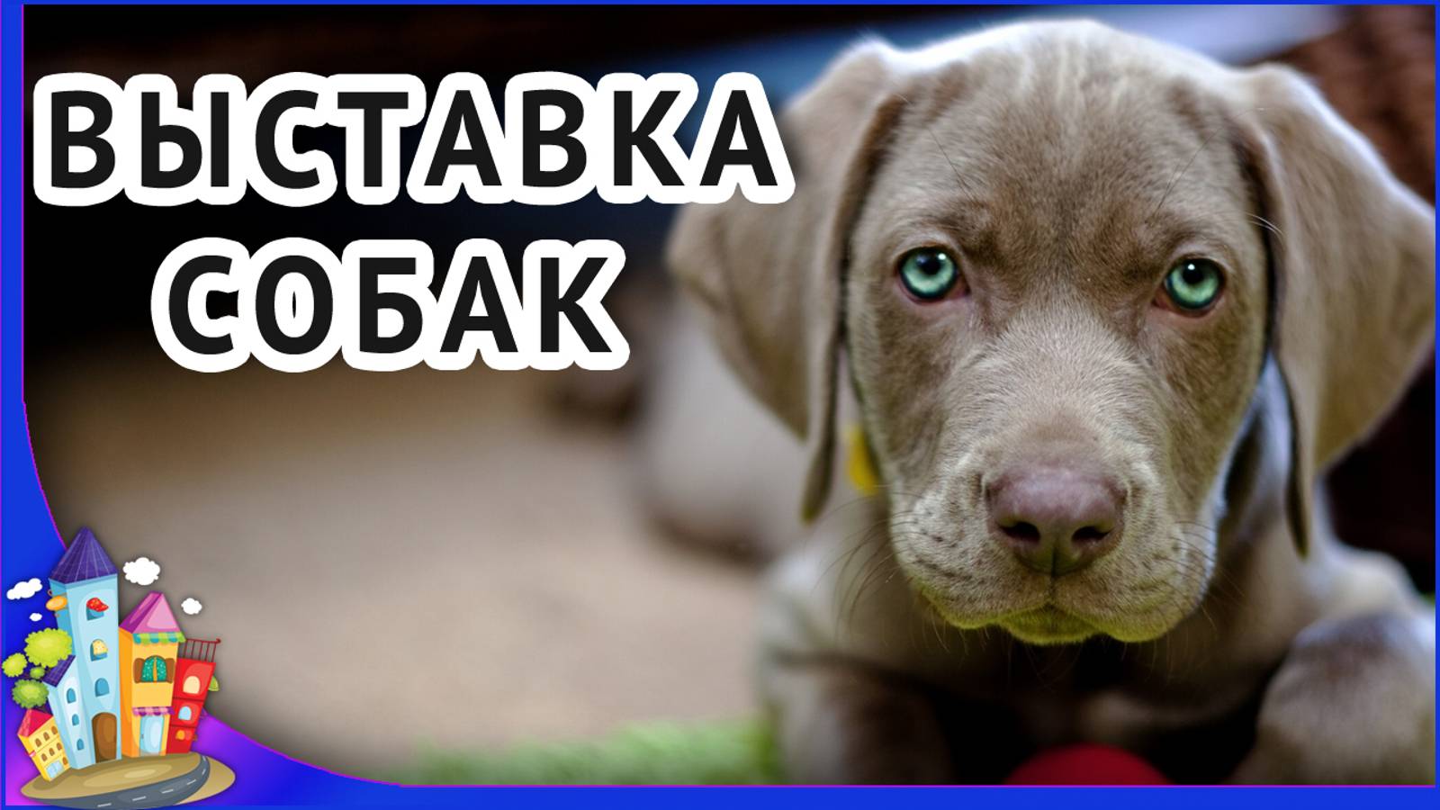 Выставка собак из приюта. Рязань. Ищу дом для собаки