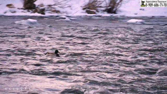 МАРТОВСКИЙ КОЛАЖ ИЗ ПАРКА ТАЛАЛИХИНА-2021