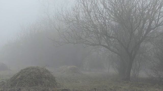Ранняя Весна В Селе