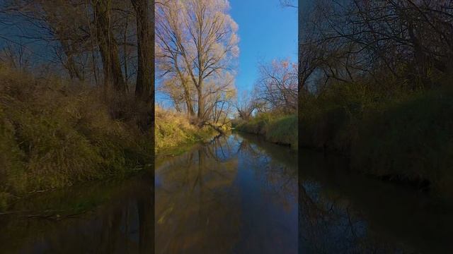 Осенним утром на реке