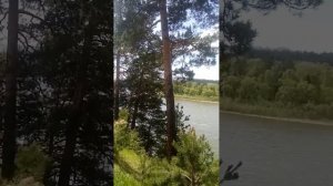 Р. Алтай. Турачакский район, обзор с набережной, такая Райская  красота..
