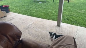 Symmi wants to get on the seat.