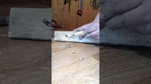 Ложкорез полукапля.