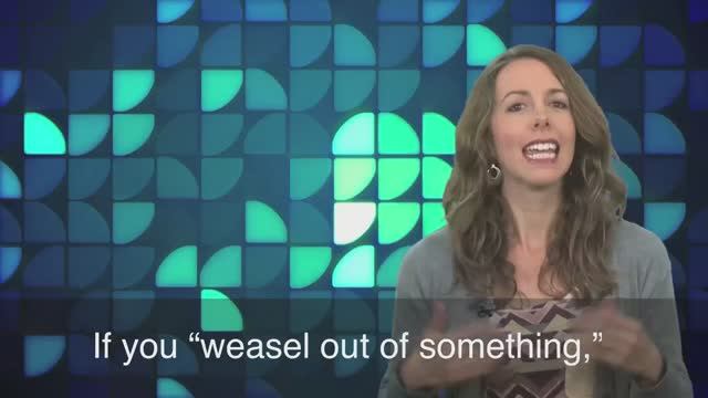 weasel out of [something]