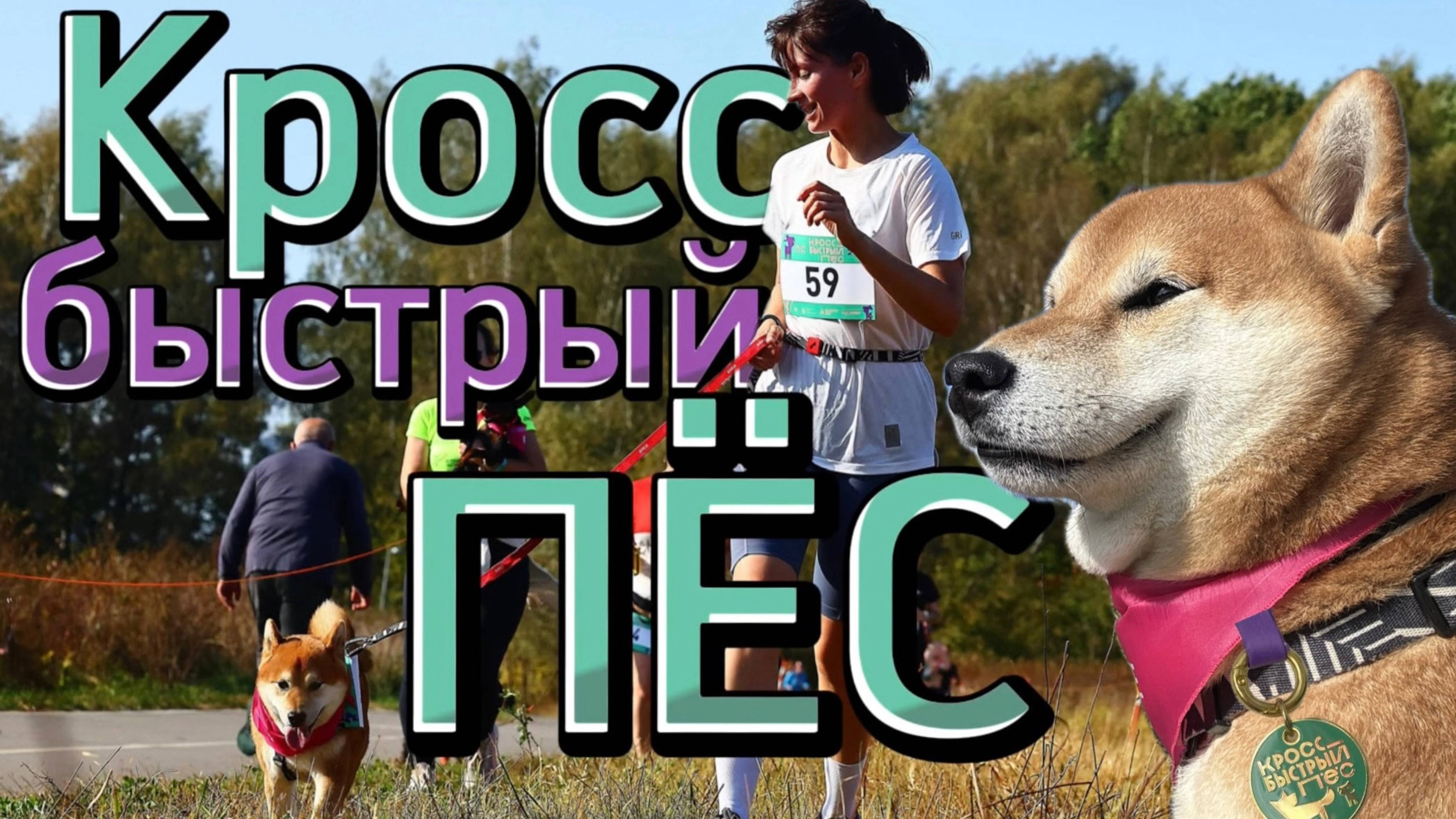 ВЛОГ: Участвую с собакой в забеге! КРОСС БЫСТРЫЙ ПЕС или как бежать в толпе собак