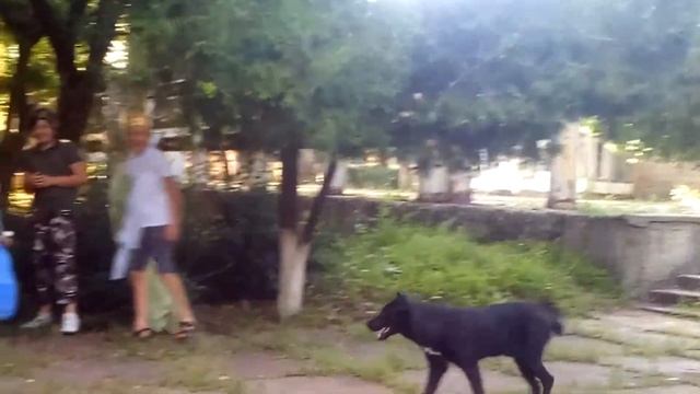 Видеоотчёт о праздновании дня Нептуна.
