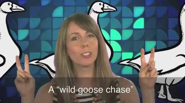wild goose chase