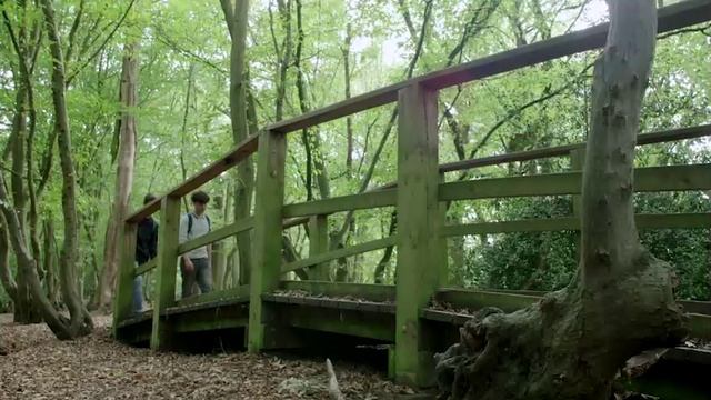 09_WiderWorld_2ed_SB1_Unit2_Video_Drama_2.4  - picnic