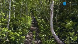 Downhill с сопки Петровской | Downhill from Petrovskaya hill